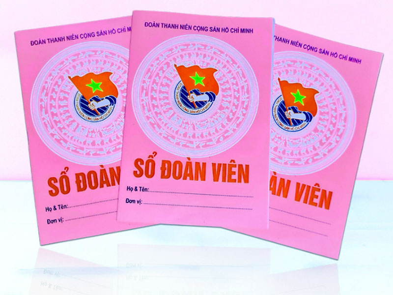 Xem Ngày Kết Nạp Đoàn Ở Đâu Trong Sổ Đoàn - Hướng Dẫn Chi Tiết - Mãi ...